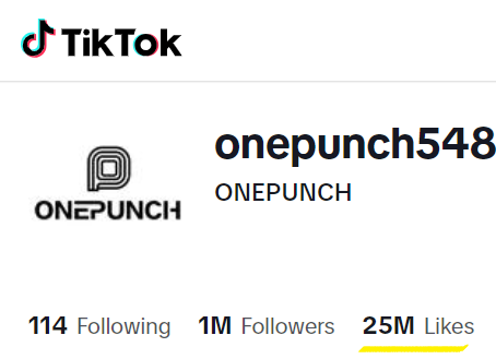 OnePunch™ - Best Music Boxing Machine | Punching Music Machine